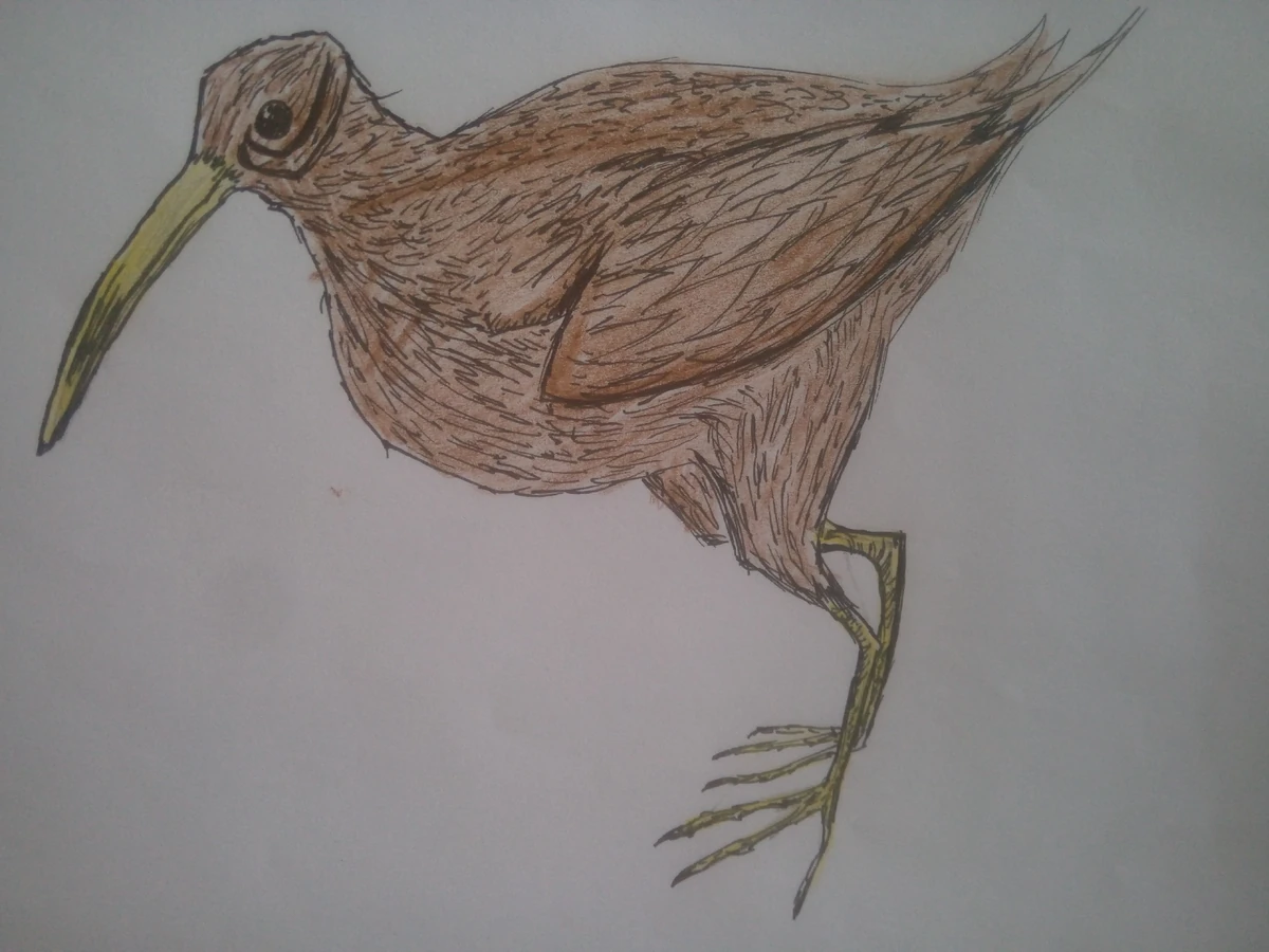 Giwi Kiwi | Toriko Fan Fiction Wiki | Fandom