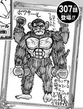 Boxer Ape | Toriko Wiki | Fandom