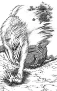 Battle Wolf/Image Gallery | Toriko Wiki | Fandom