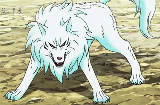 Terry Cloth | Wiki Toriko | Fandom