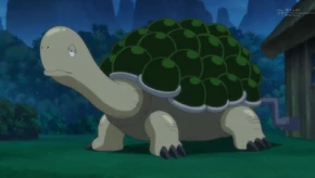 Solar Turtle | Toriko Wiki | Fandom