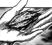 ATOM (Nitro) | Toriko Wiki | Fandom