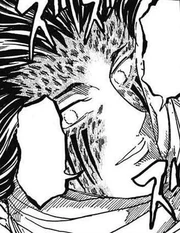 Aimaru | Toriko Wiki | Fandom
