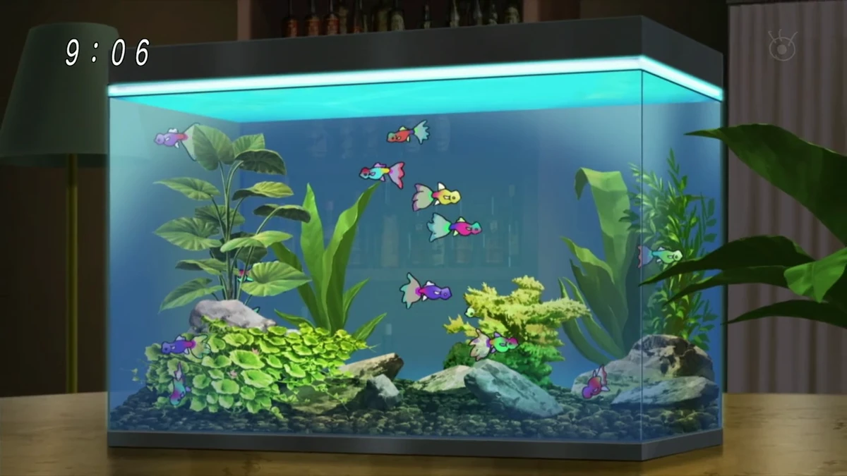 Rockpaper | Toriko Wiki | Fandom