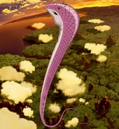 Quinn/Image Gallery | Toriko Wiki | Fandom
