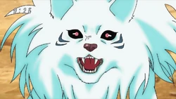 Toriko Terry