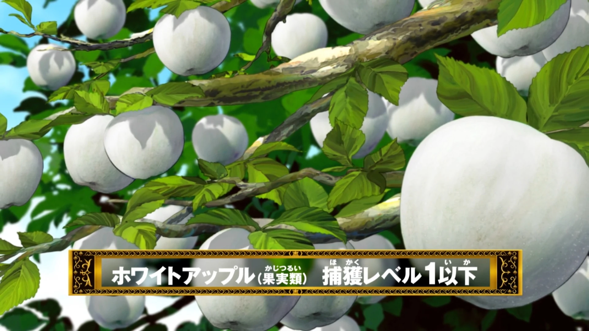 White Apples