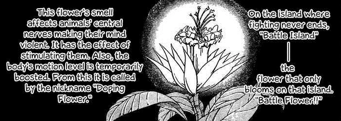 Battle Flower | Toriko Wiki | Fandom