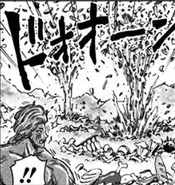 CENTER | Toriko Wiki | Fandom