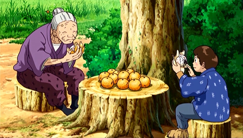 Pokan | Toriko Wiki | Fandom