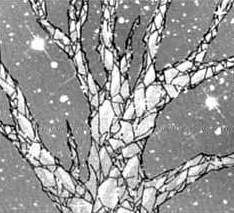Crystal Tree | Toriko Wiki | Fandom