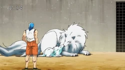 Toriko Terry