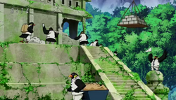 Kung-Fu Mynah Bird | Toriko Wiki | Fandom
