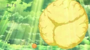 Four Beast | Toriko Wiki | Fandom