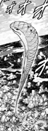 Quinn/Image Gallery | Toriko Wiki | Fandom