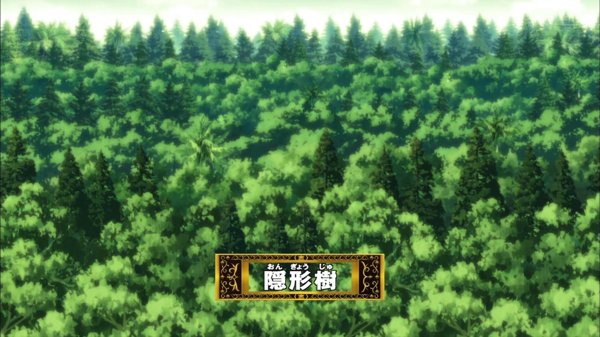 Invisibility Tree | Toriko Wiki | Fandom