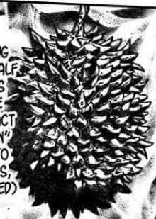 Devil Durian Fruit | Toriko Wiki | Fandom