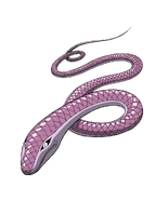 Quinn/Image Gallery | Toriko Wiki | Fandom