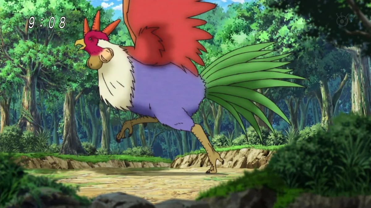 Potacarronion Bird | Toriko Wiki | Fandom