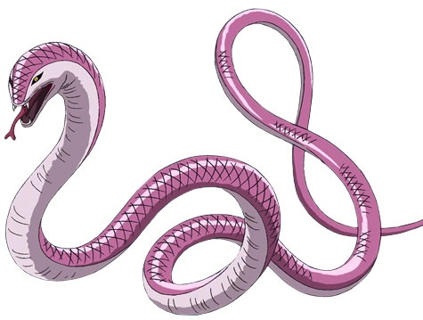 Quinn | Toriko Wiki | Fandom