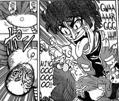 Billion Bird | Wiki Toriko | Fandom