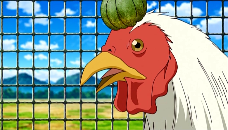 Bantam | Toriko Wiki | Fandom