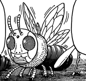 Categoría:Bestias Insecto | Wiki Toriko | Fandom