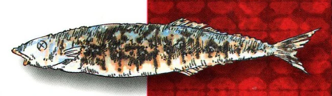 Boneless Mackerel Pike | Toriko Wiki | Fandom