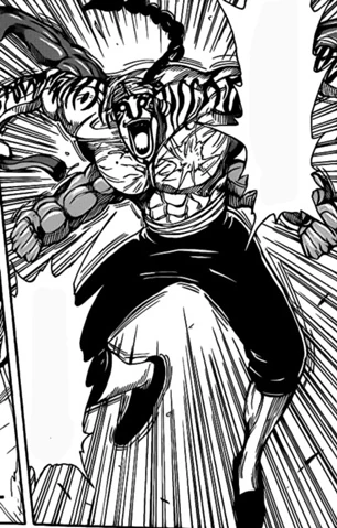 Grinpatch | Wiki Toriko | Fandom