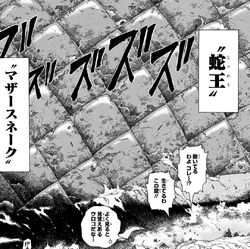 Mother Snake Toriko Size