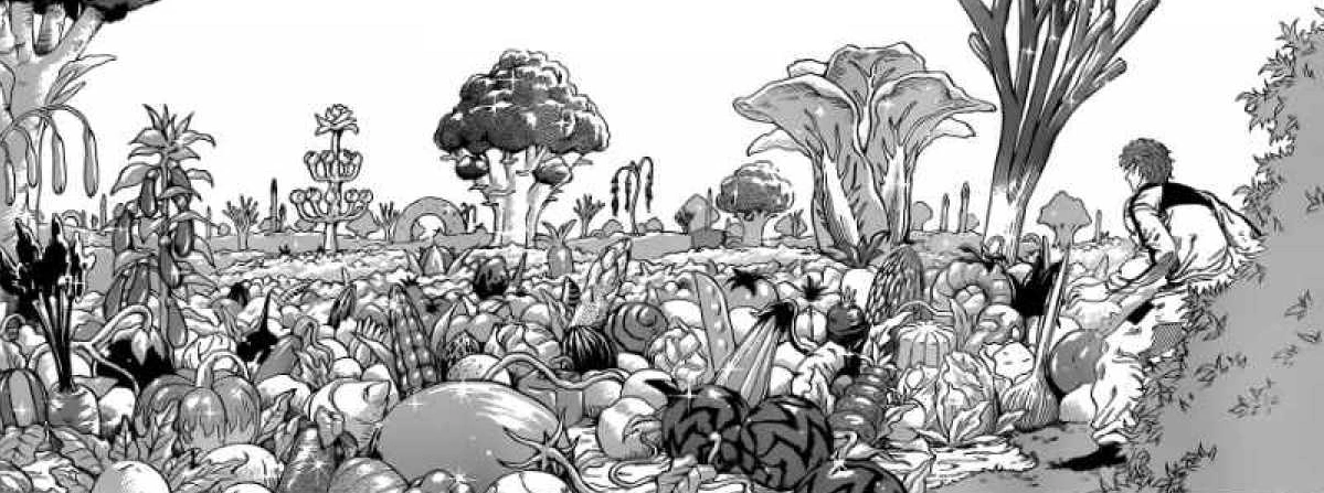 Vegetable Sky | Toriko Wiki | Fandom