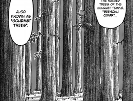 Gourtree | Toriko Wiki | Fandom