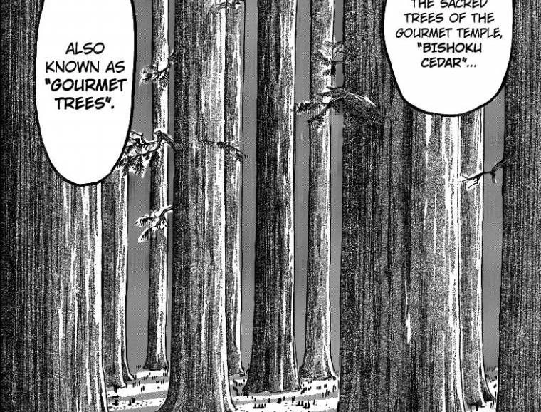 Gourtree | Toriko Wiki | Fandom