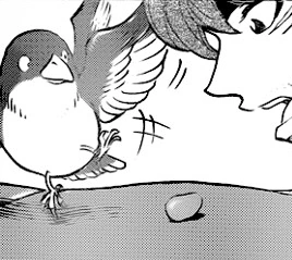 Four-Winged Bird | Toriko Wiki | Fandom