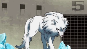 toriko battle wolf