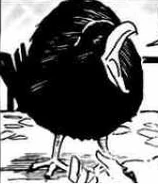 Kiss/Image Gallery | Toriko Wiki | Fandom