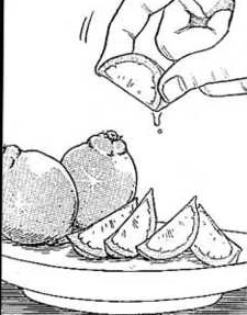 Platinum Lemon | Toriko Wiki | Fandom