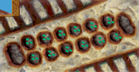 Awari | Toriliana Wiki | Fandom