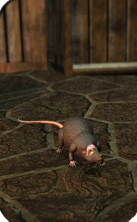 Cranium Rat | Torment Wiki | Fandom