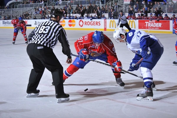 Tim Stapleton/Images | Toronto Maple Leafs Wiki | Fandom