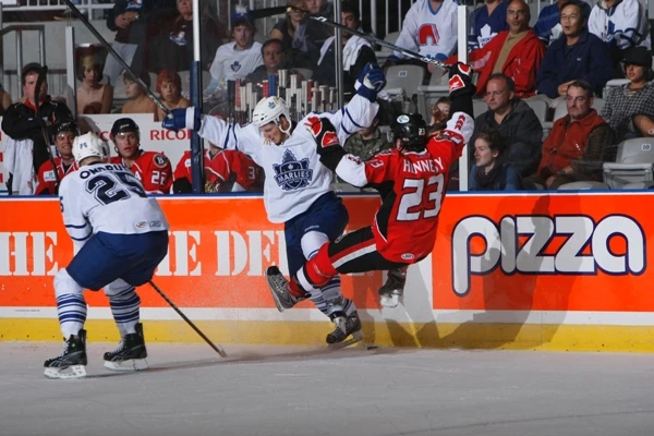 Darryl Boyce/Images | Toronto Maple Leafs Wiki | Fandom