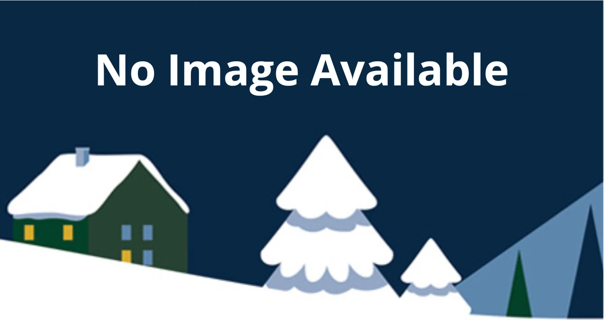 The Jungle Book | Toronto Santa Claus Parade Wiki | Fandom