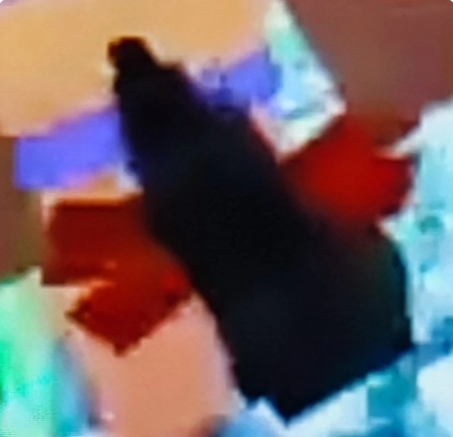 Buddy | Wiki Tortillaland | Fandom