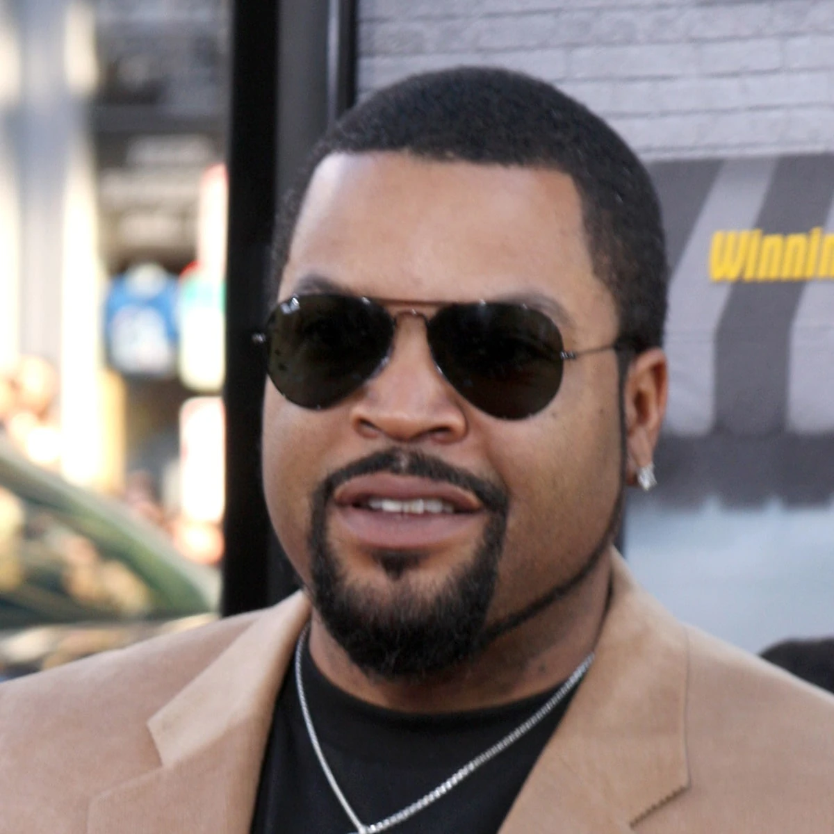 Ice Cube | Tortuga Ninja Wiki | Fandom