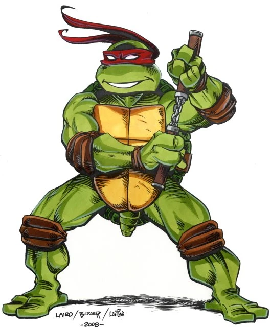 Michelangelo (Mirage) | Tortuga Ninja Wiki | Fandom
