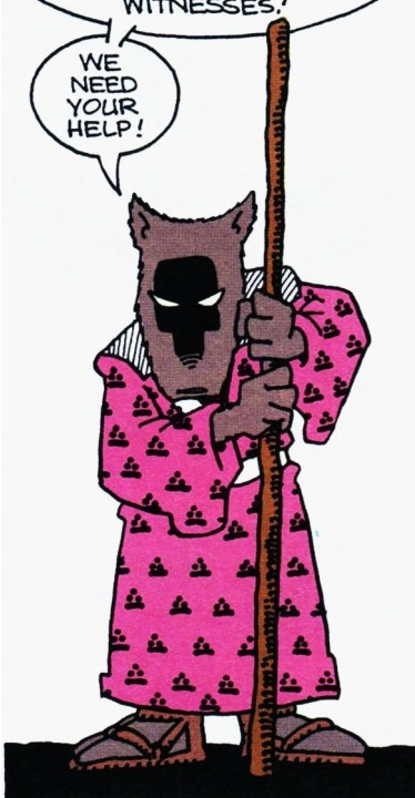 Kakera | Tortuga Ninja Wiki | Fandom