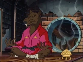 Meditación | Tortuga Ninja Wiki | Fandom