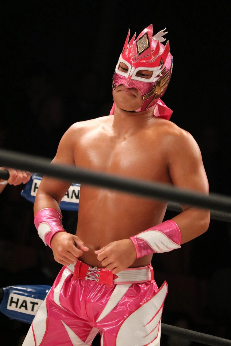 Dragon Dia | Dragon System Wiki | Fandom