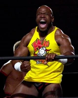 Mad Blankey/Image gallery | Dragon System Wiki | Fandom