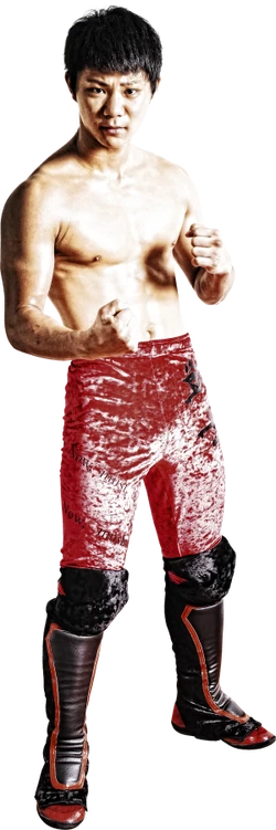 Kaito Ishida | Dragon System Wiki | Fandom